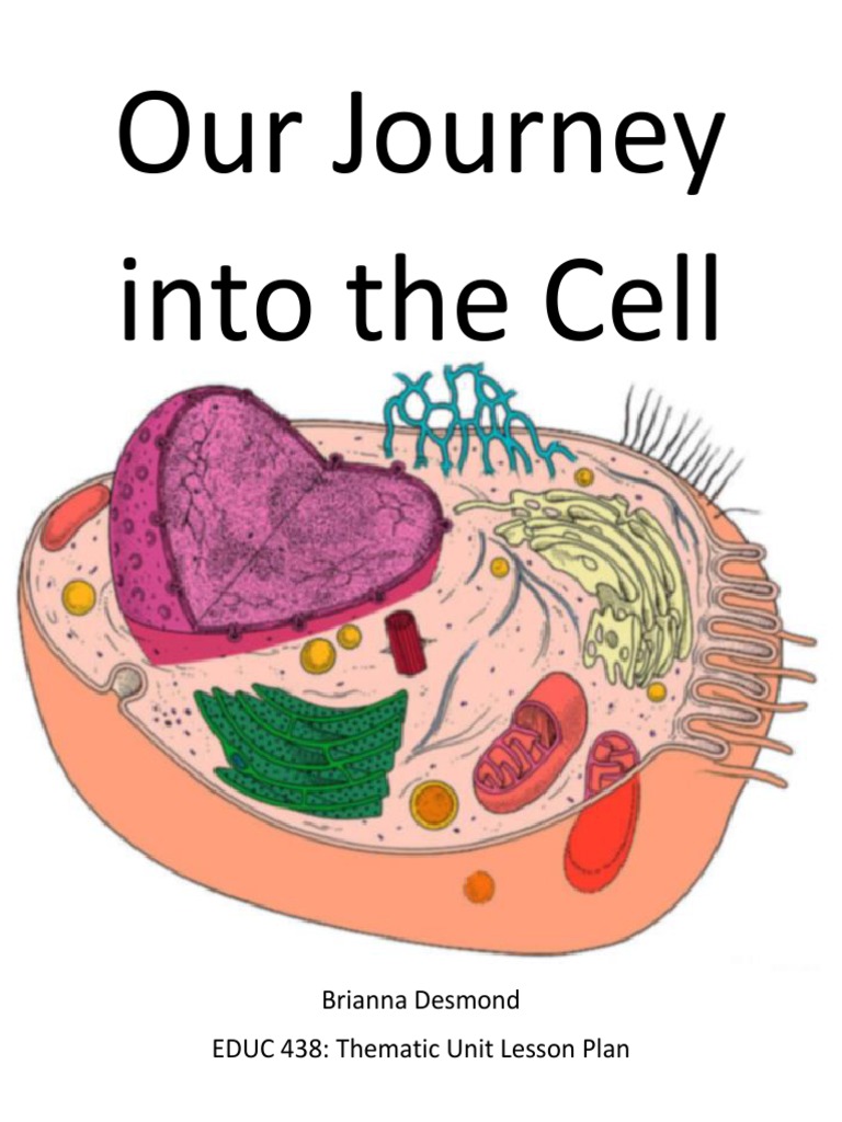 Thematic Unit Lesson Plan Final | PDF | Endoplasmic Reticulum | Cell ...