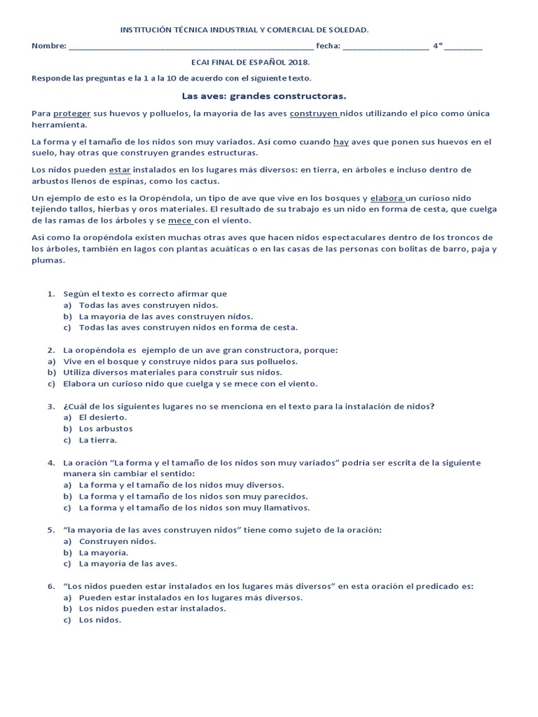 Evaluación de Español. Cuarto Grado | PDF | Aves | Idiomas