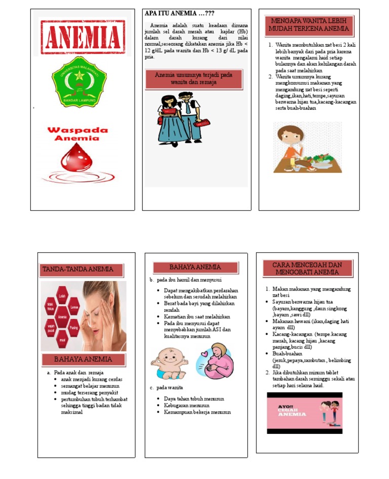 Pamflet Anemia NENEG SARI | PDF