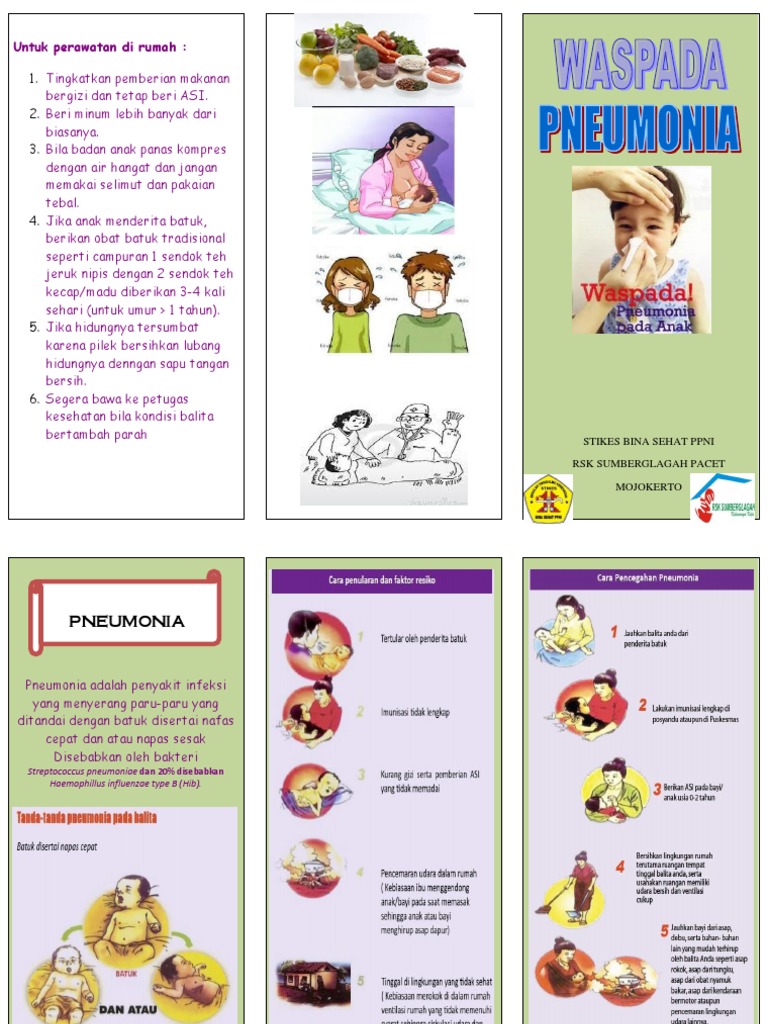 Leaflet Pneumonia | PDF
