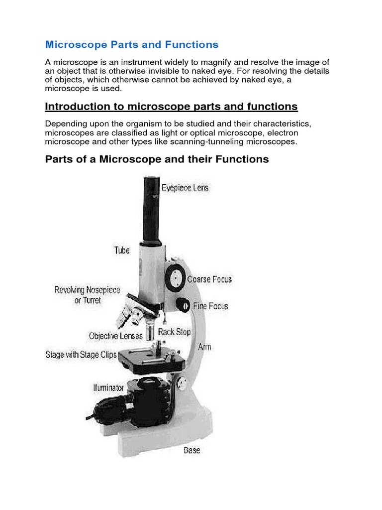 Microscope Parts And Functions