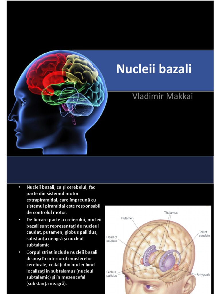 Nucleii Bazali - DR Makkai Vladimir PDF | PDF
