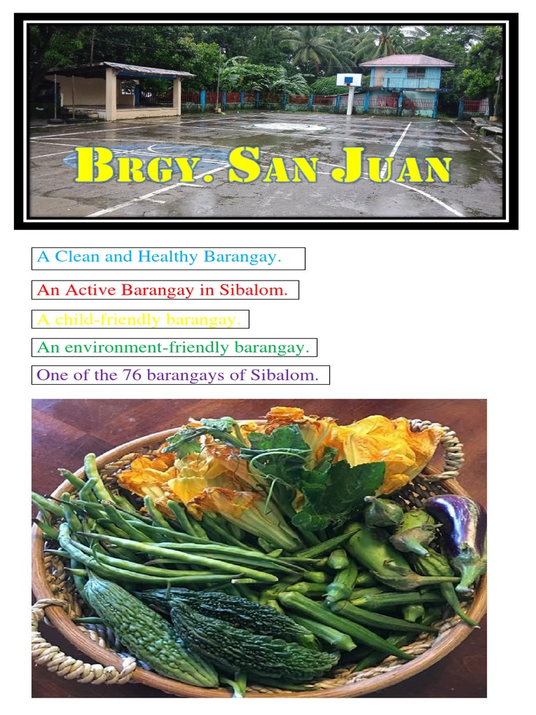 Eco-Friendly Barangay in Sibalom | PDF | Wellness | Technology ...