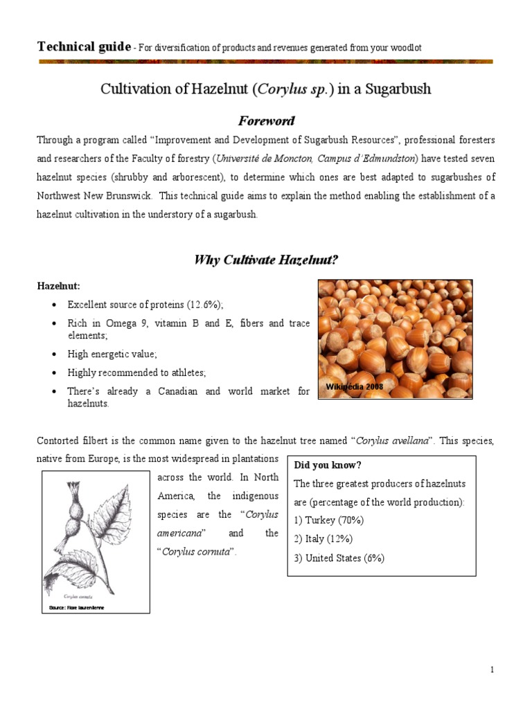 GT Hazelnut | PDF | Pruning | Trees