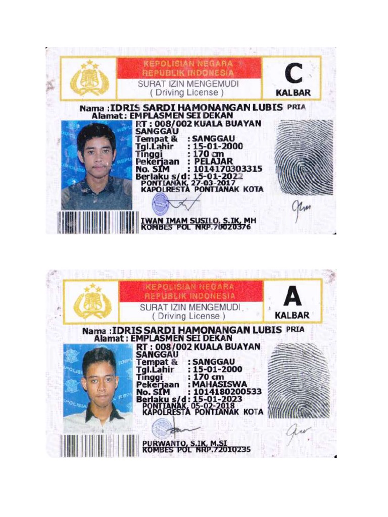 Scan Sim A & C | PDF