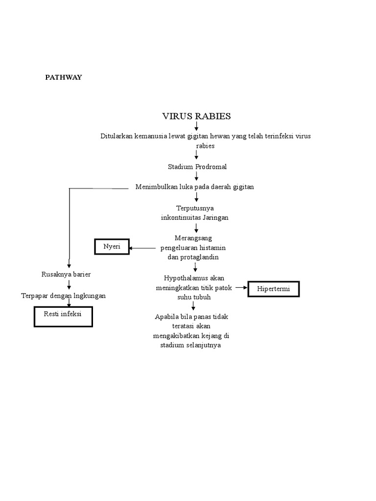 Pathway Rabies | PDF