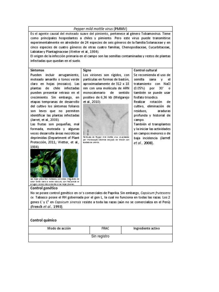 Pepper Mild Mottle Virus | PDF | Pimiento | Virus