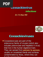 CDC Policy Analytical Framework | PDF | Policy | Cost–Benefit Analysis