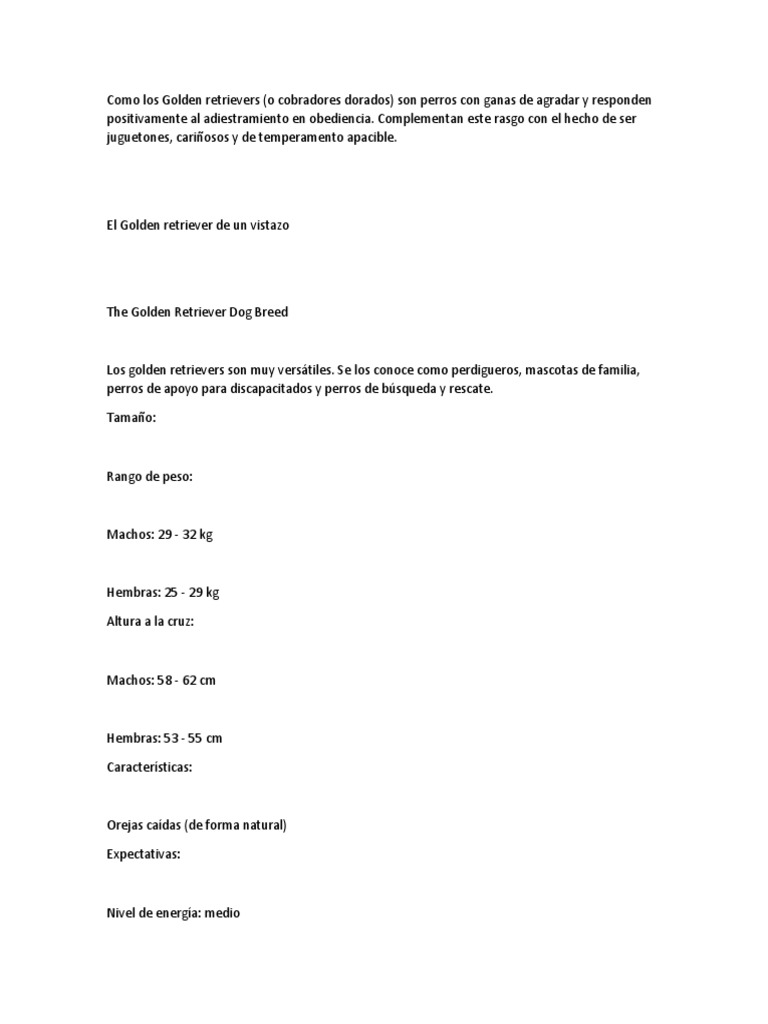 Como Los Golden Retrievers PDF | PDF | Golden Retriever | Perros