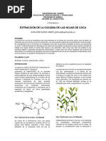 Drogas Naturales | PDF | Drogas | Alucinógeno