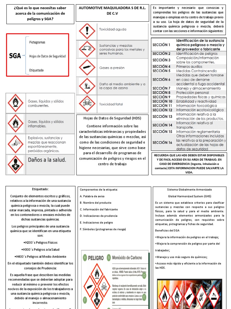 Formato Sga Editable | PDF | Bienestar | Medicina