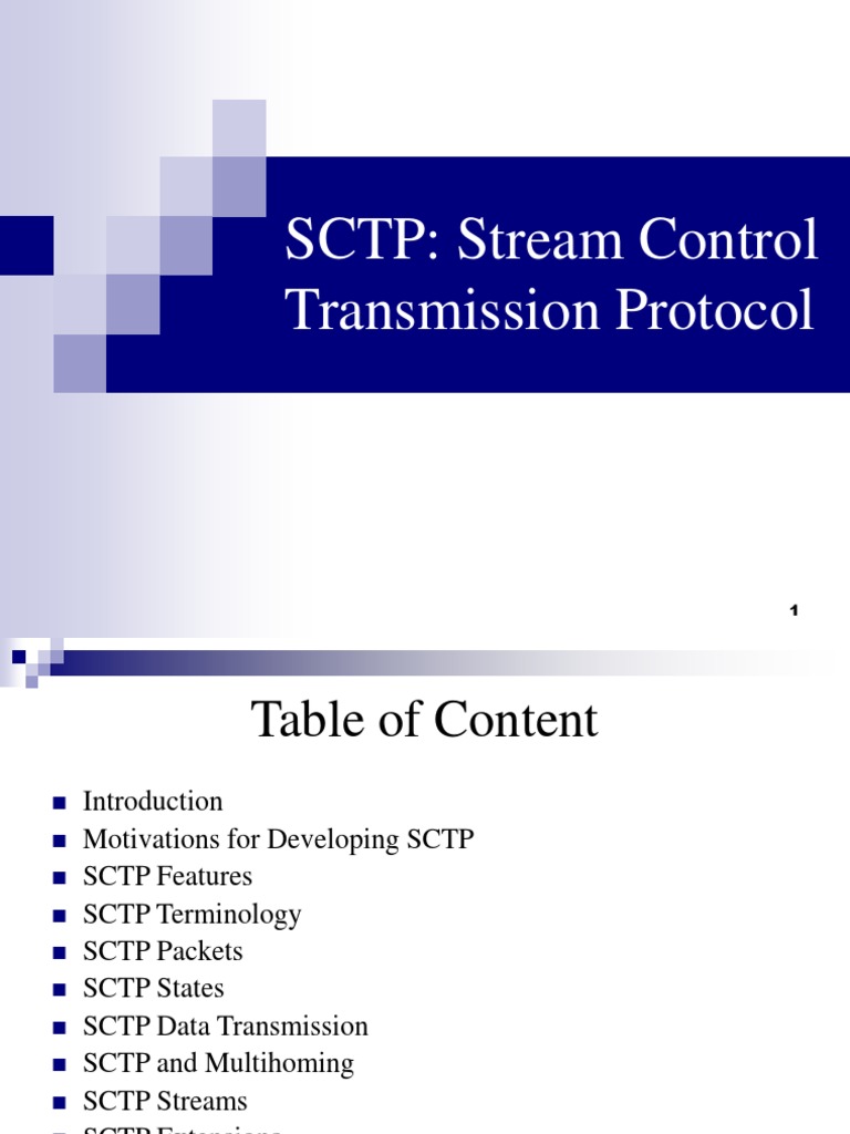 SCTP | PDF | Transmission Control Protocol | Network Congestion