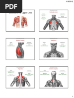 Mnemonics for Skeleton & Muscles | PDF | Human Leg | Foot