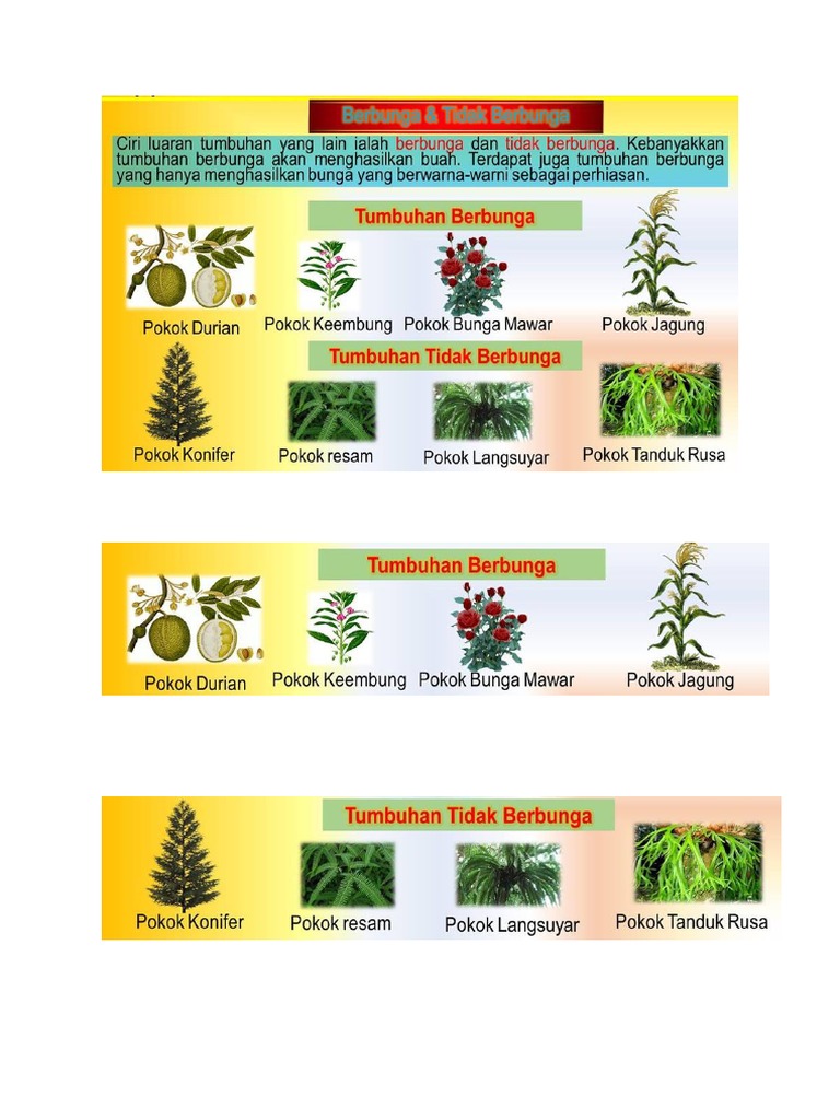 Berbunga Tidak Berbunga | PDF
