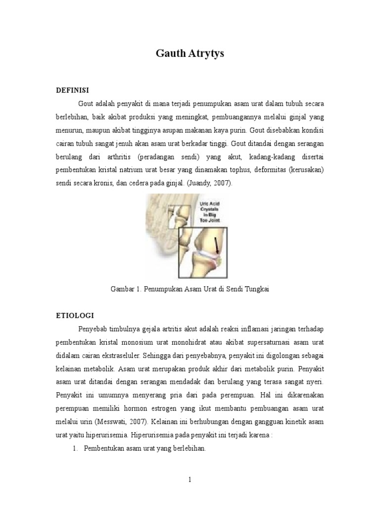 Lapsus 3 Gout Atritis (Kepustakaan) | PDF