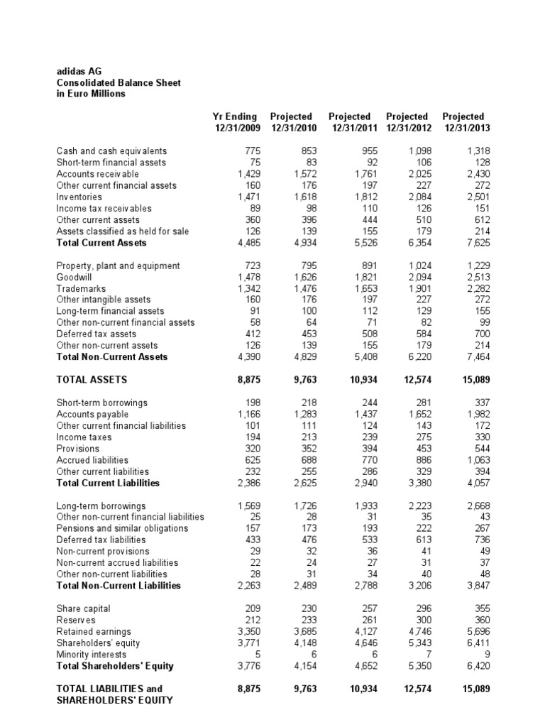 Adidas Balance Sheet | PDF | Balance Sheet | Government Finances