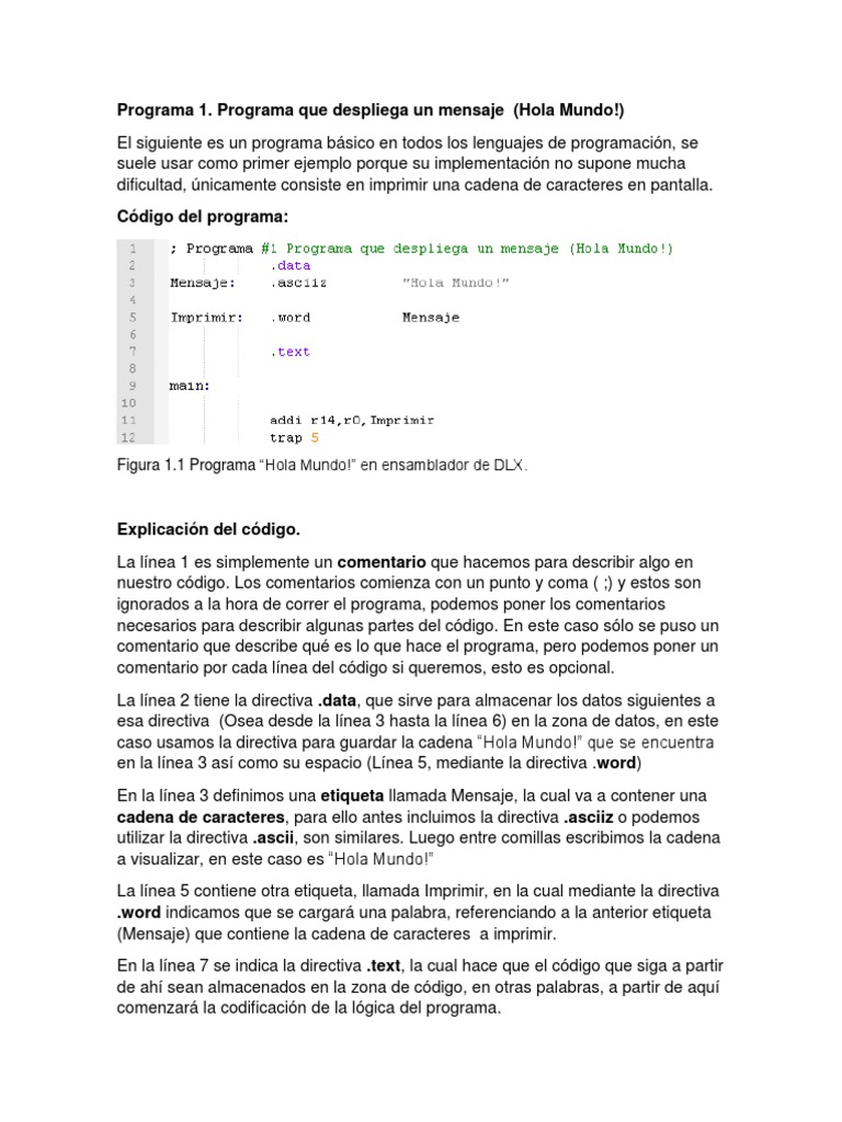 Hola mundo en ensamblador | Lenguaje ensamblador | Programa de computadora