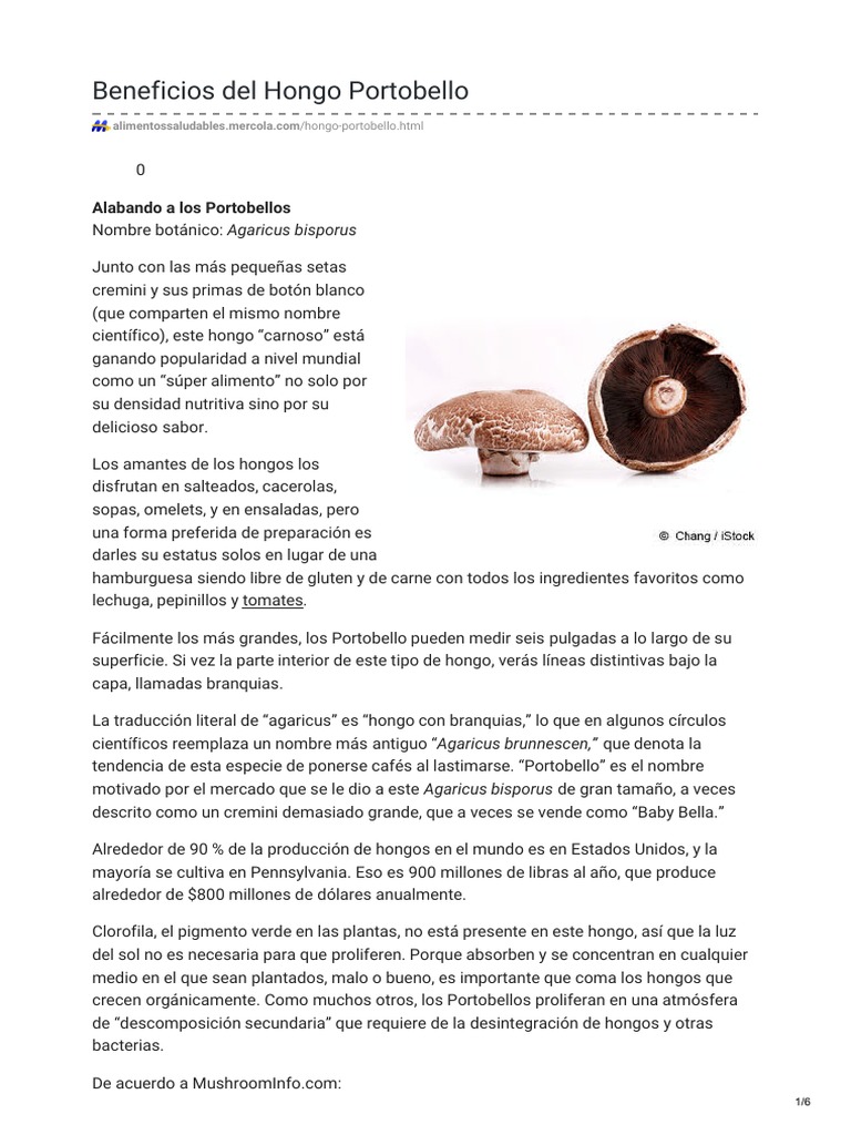 Beneficios Del Hongo Portobello | PDF | Hongo | Alimentos