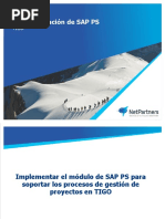 Solped Sap | PDF | Informática | Software