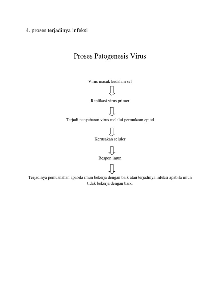 Proses Terjadinya Infeksi 4 | PDF | Kesehatan Holistik | Sains & Matematika