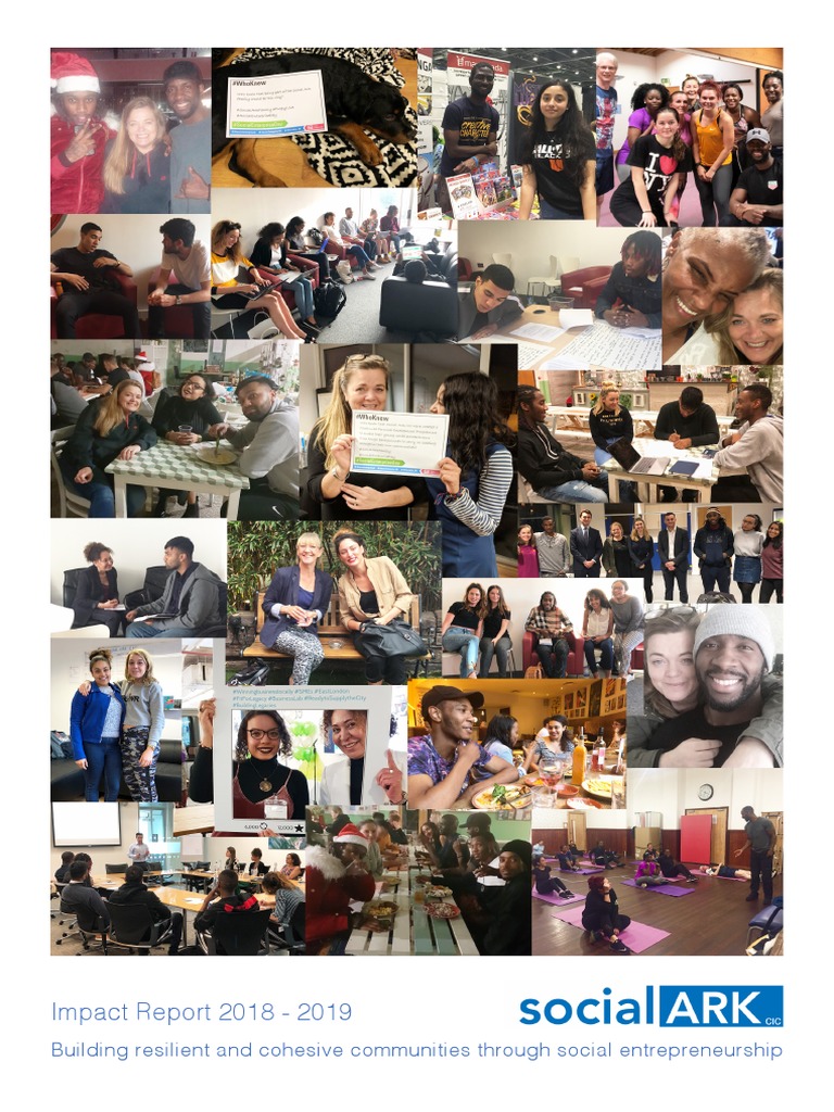 Social Ark Impact Report 2018 - 2019 | PDF | Social Enterprise ...