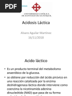 Hiperlactatemia: Causas y Tratamiento | PDF | Ácido láctico | Fisiología