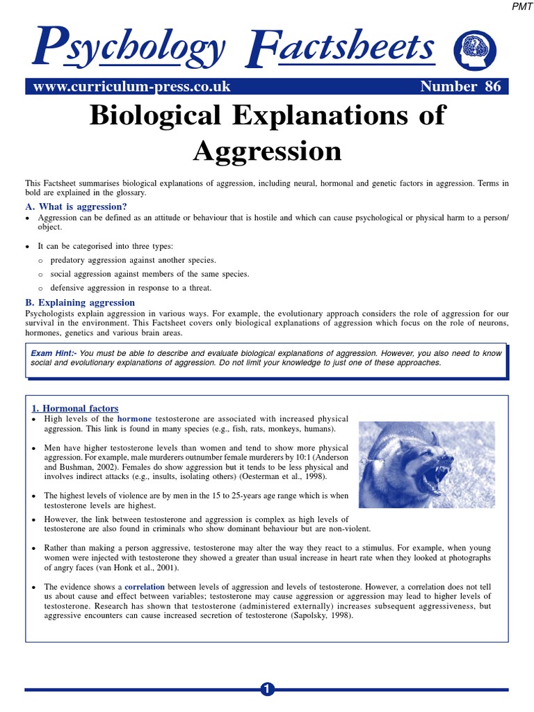 Biological Explanations of Aggression: Sychology Actsheets | PDF ...