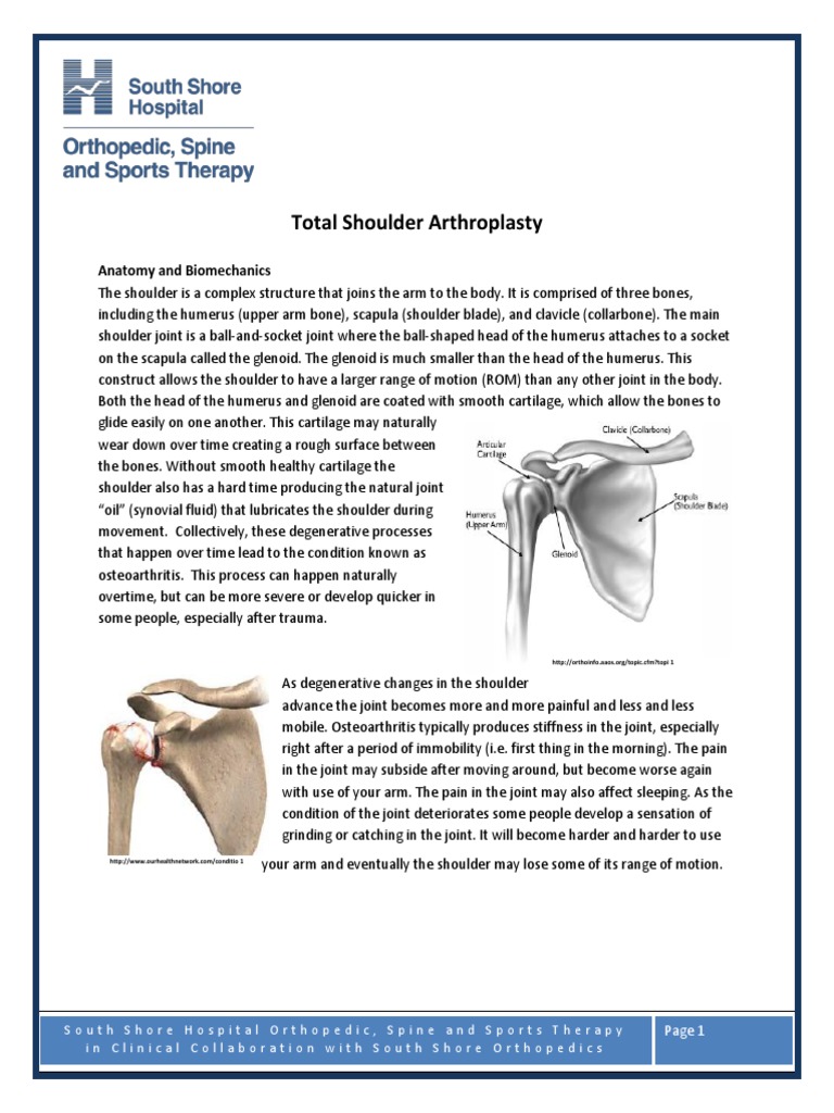 Total Shoulder Arthroplasty Guide | PDF | Shoulder | Anatomical Terms ...
