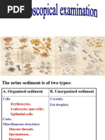 Urine Sediment Atlas: Key Points | PDF | Medical Specialties | Clinical ...
