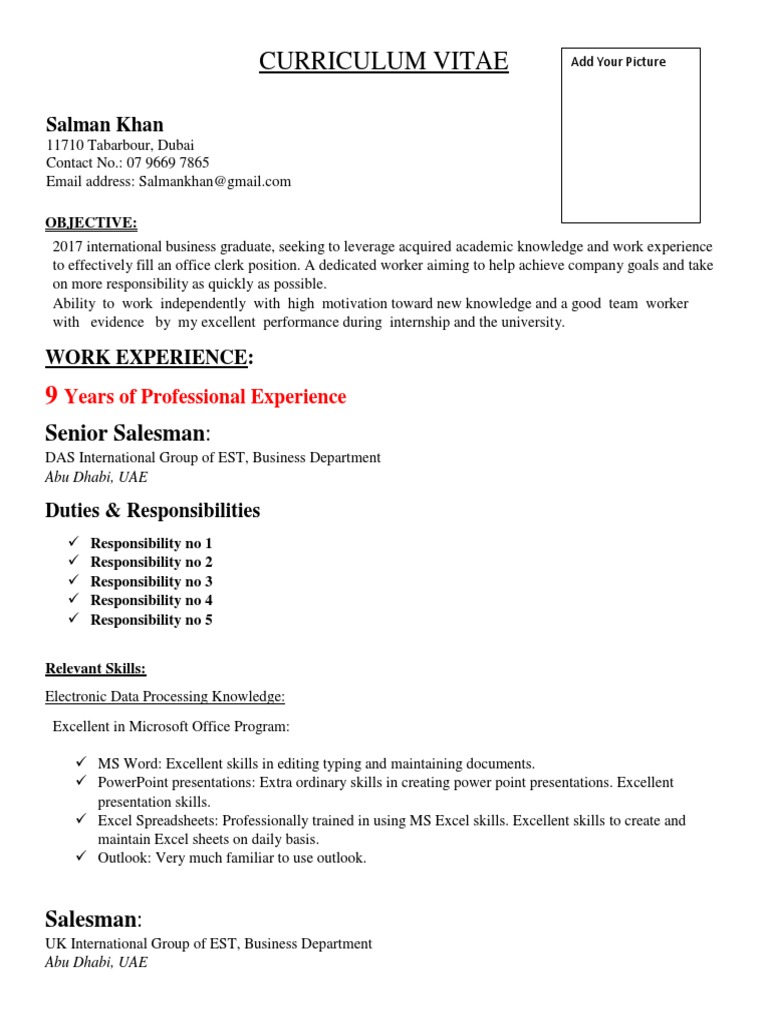 Professional CV For Dubai 2018 | PDF | United Arab Emirates | Microsoft ...