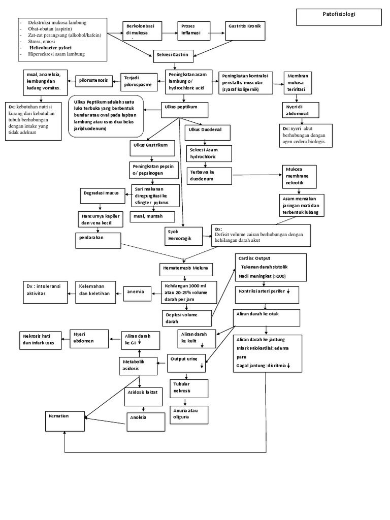 Woc Hematemesis Melena | PDF