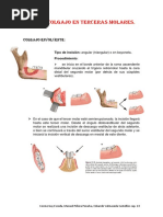 Clasificación de Winter | PDF | Naturaleza