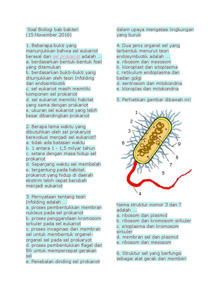 Soal Biologi Bab Bakteri | PDF