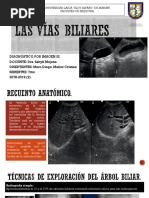 Maniobras y Signos en Exploración Abdominal | PDF | Bazo | Abdomen