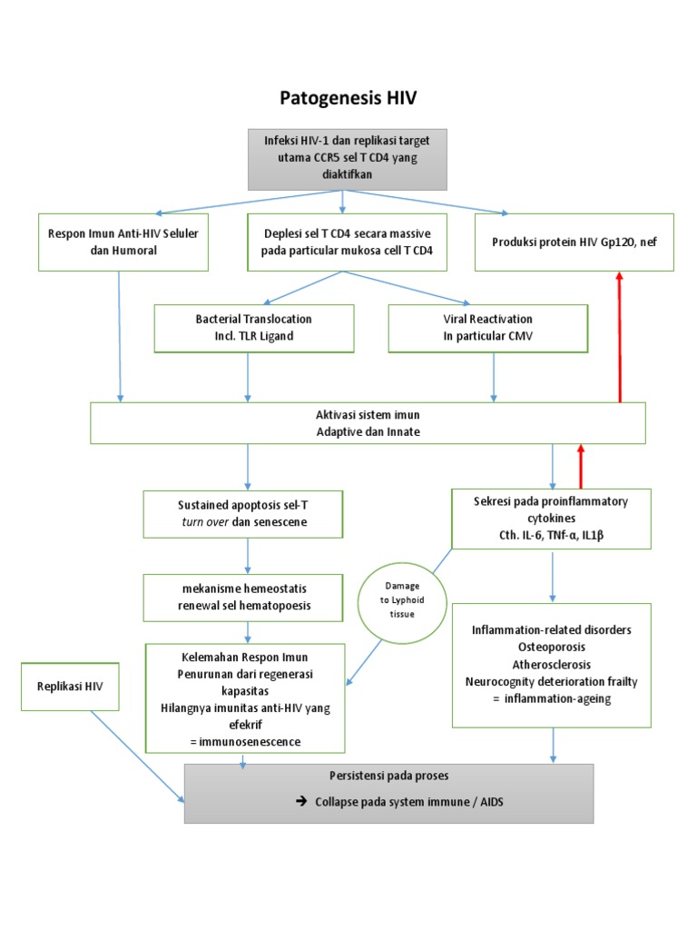 Patogenesis HIV Skema | PDF