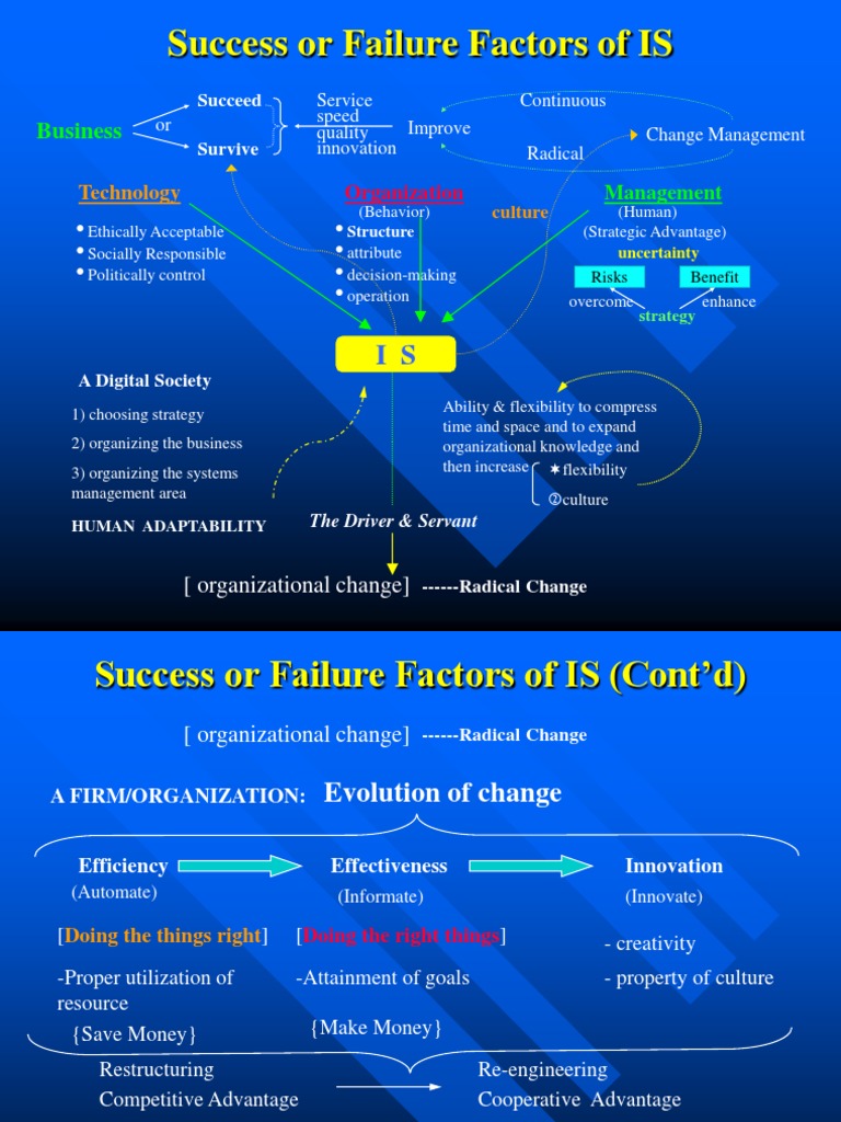 Success and Failure of Is | PDF | Strategic Management | Electronic ...