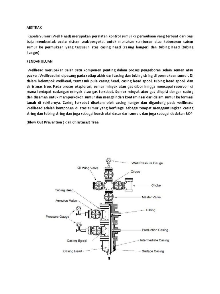 Wellhead 1 | PDF