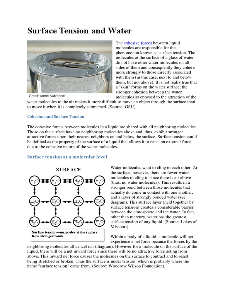 Understanding Water's Surface Tension | PDF | Surface Tension | Drop ...