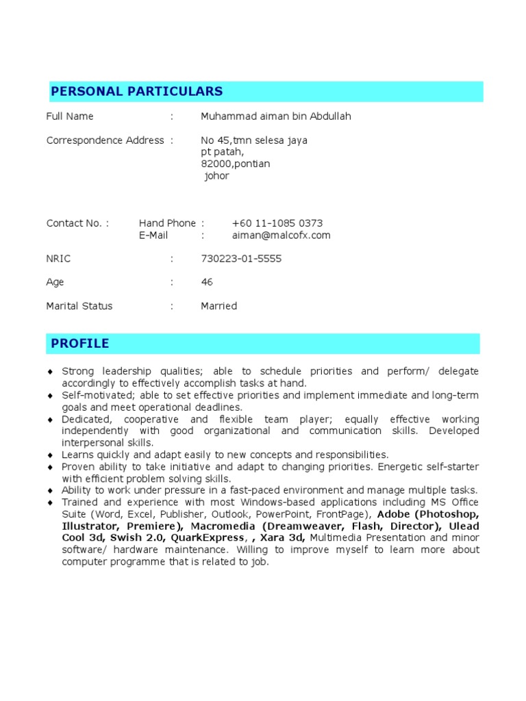 Personal Profile Summary | PDF | Business | Computing And Information ...