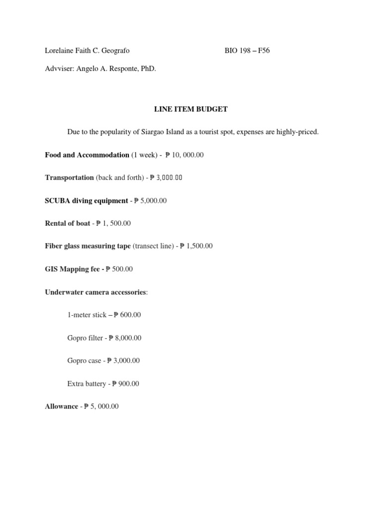 Line Item Budget | PDF