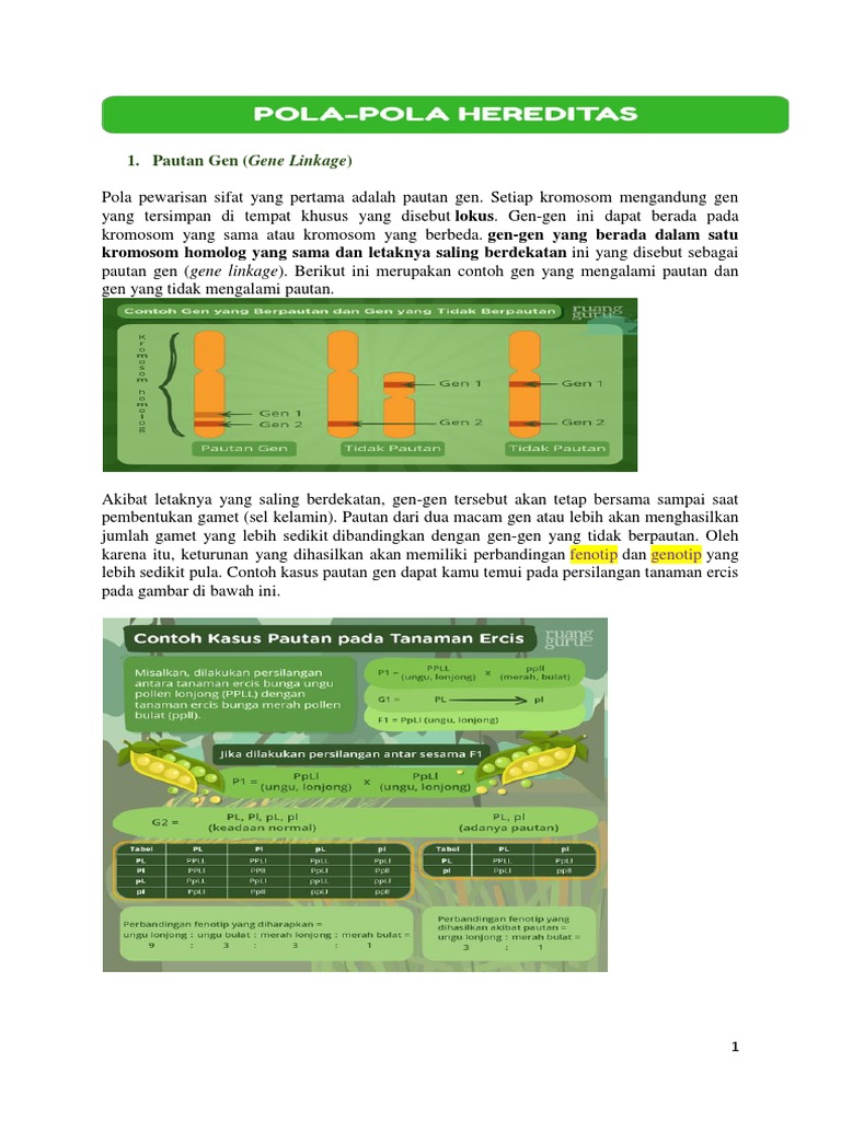 Pola - Pola Hereditas - MODUL | PDF