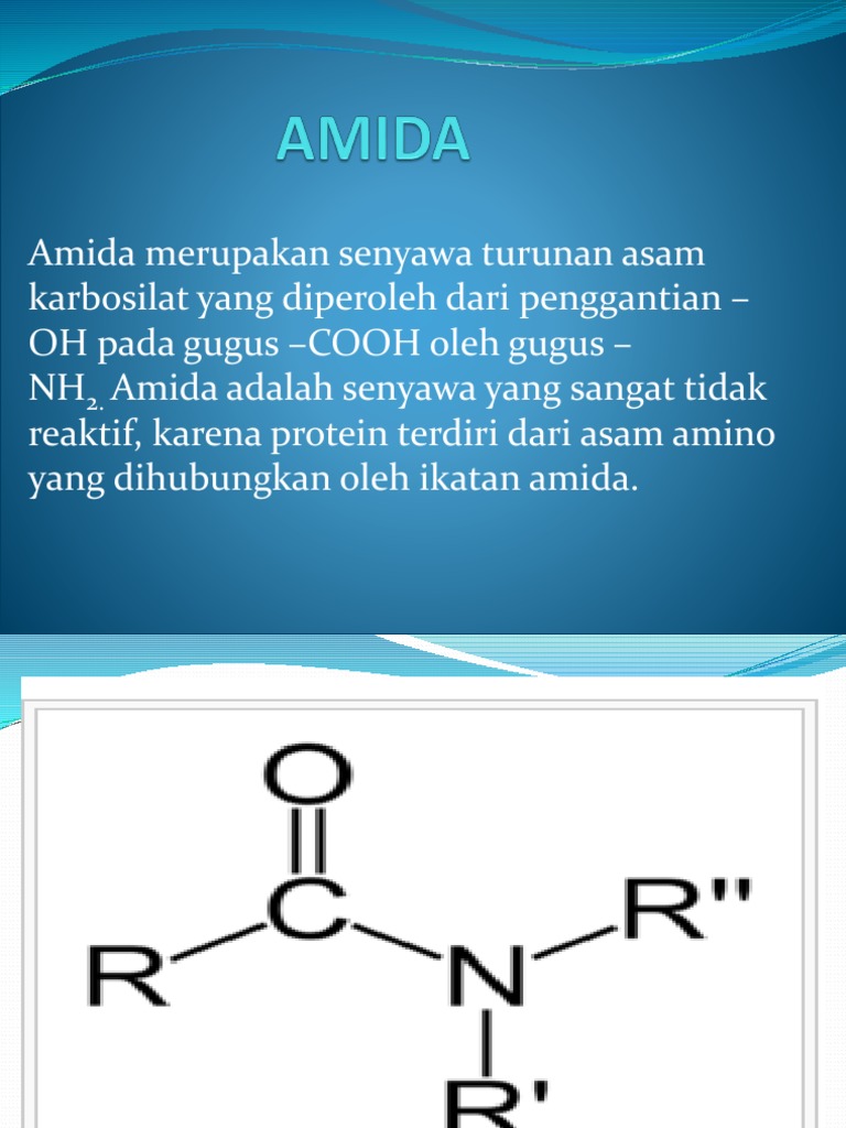 Amida | PDF