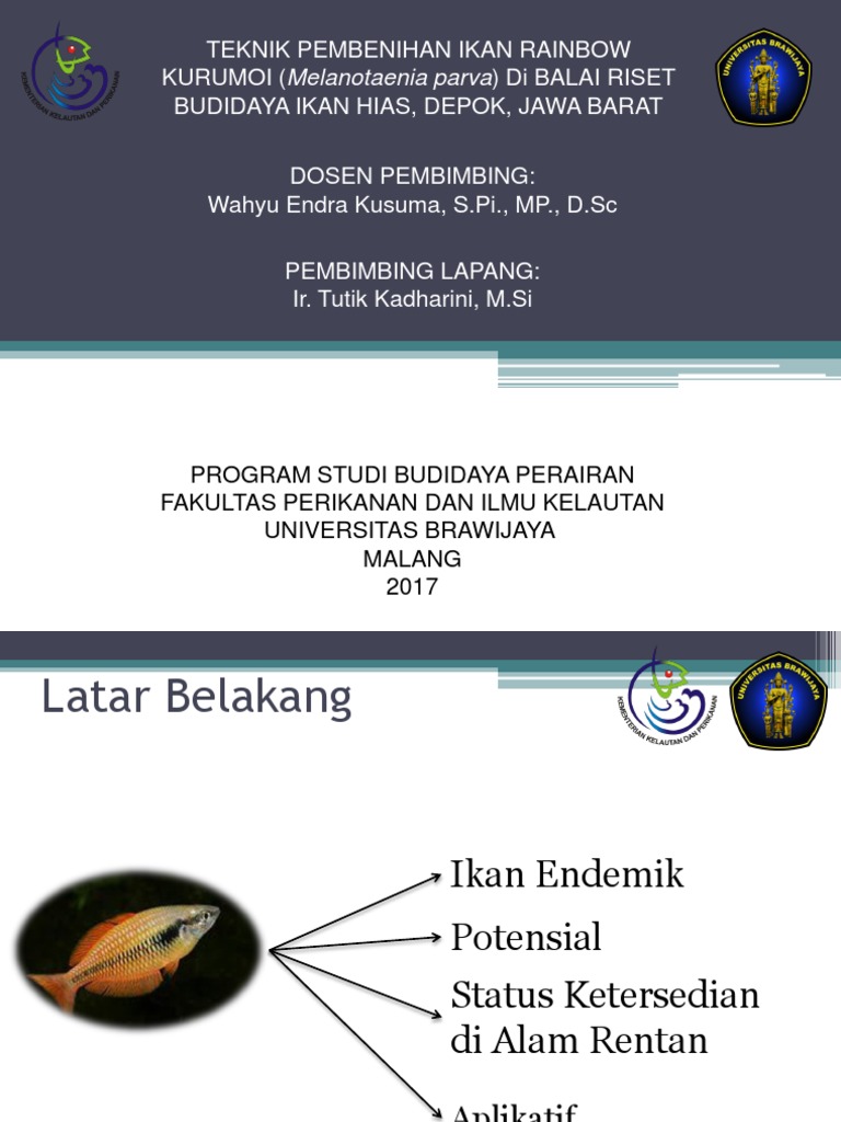 Teknik Pembenihan Ikan Rainbow Kurumoi (Melanotaenia Parva | PDF