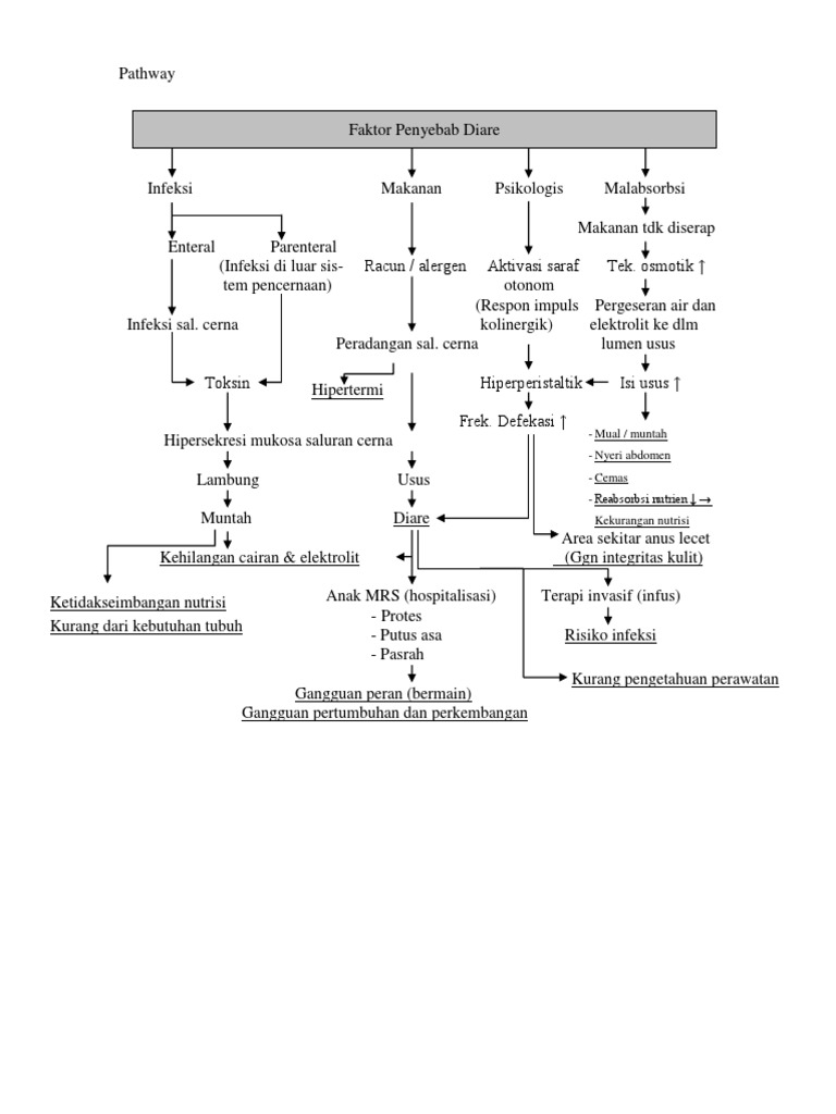 Pathway Diare dan Dehidrasi Anak | PDF
