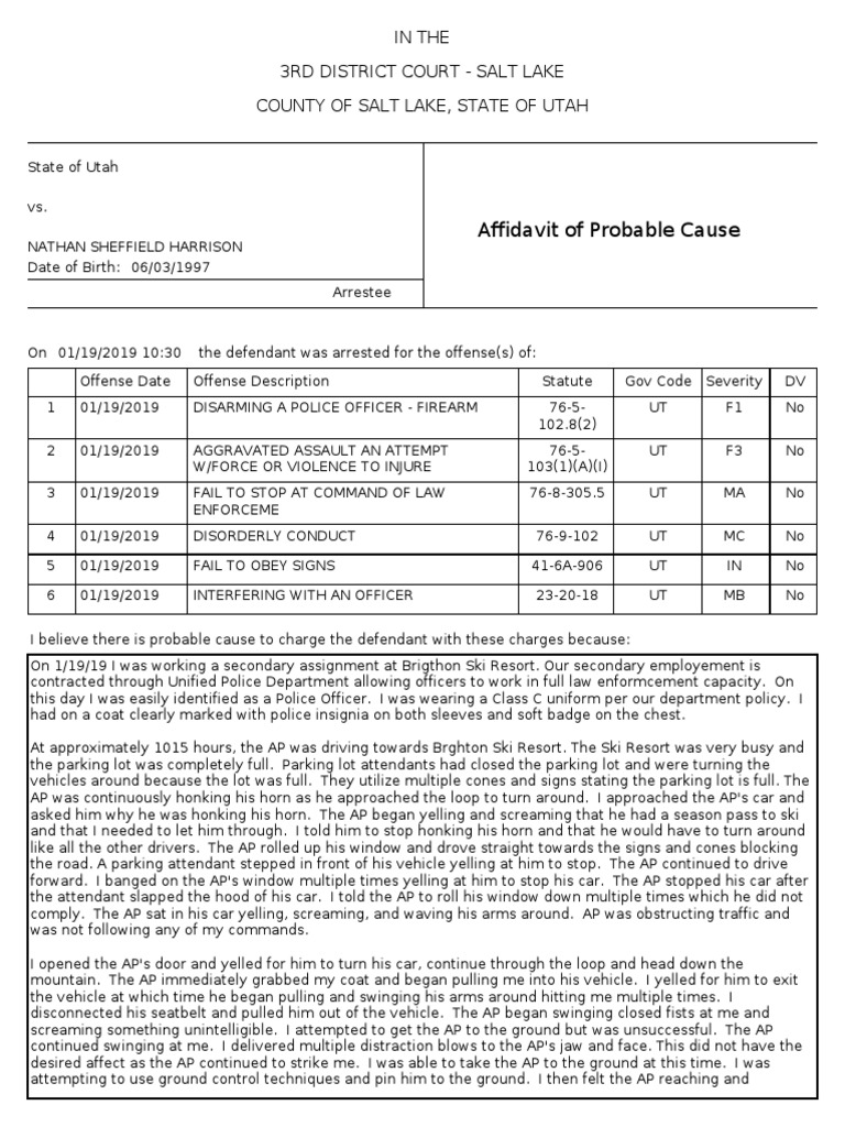 Nathan Harrison PC Statement | PDF | Police | Justice