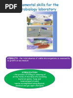 SOP 5-001 Rev. 13 SM9223 Enzyme Substrate Coliform Test | PDF ...