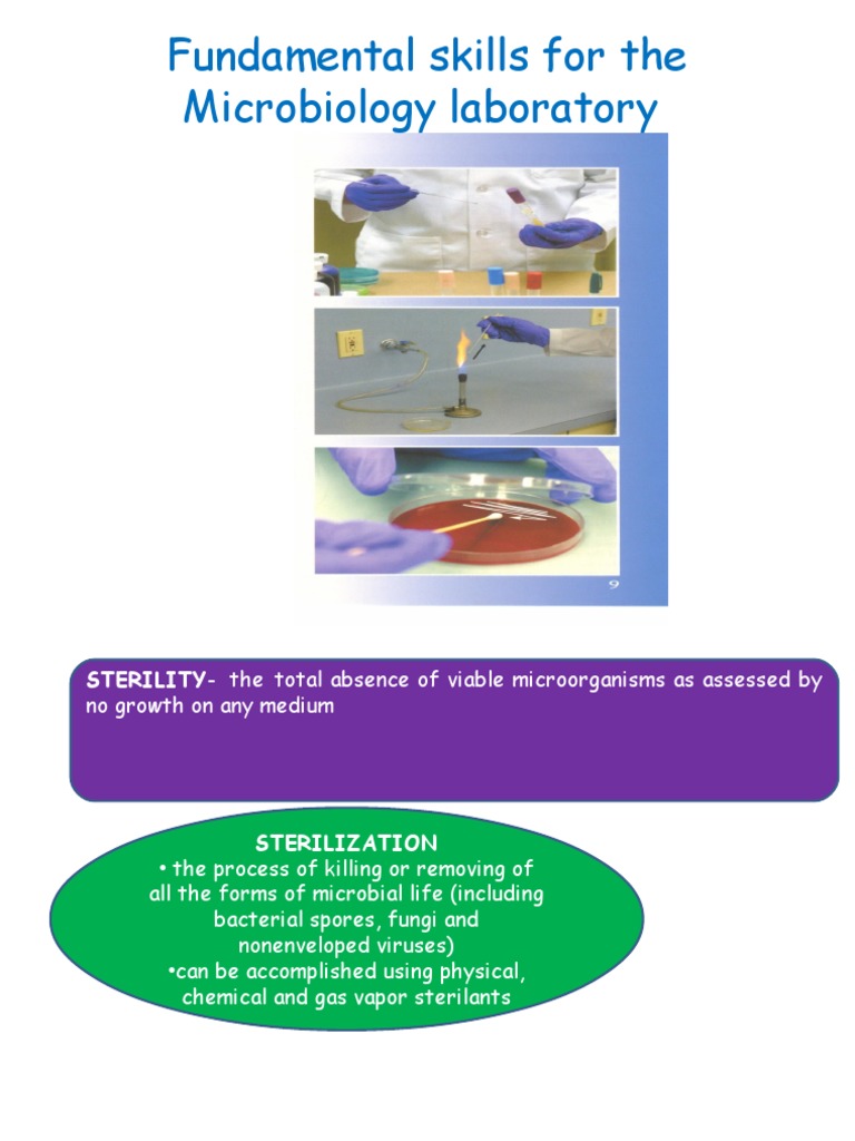 Fundamental Skills For The Microbiology Laboratory | PDF | Disinfectant ...