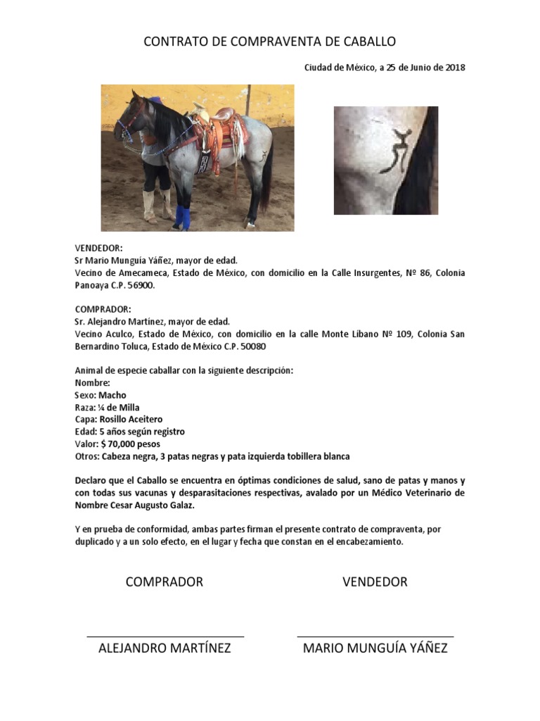 Contrato de Compraventa de Caballo | PDF