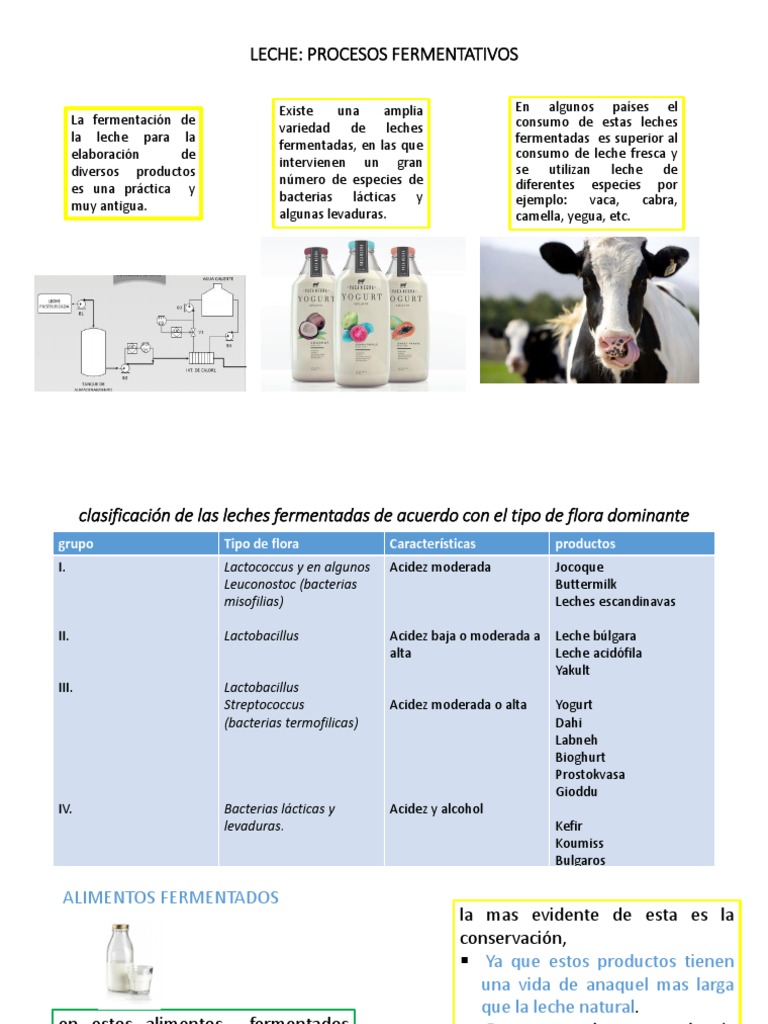 Procesos Fermentativos | PDF | Yogur | Queso