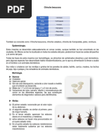 Triatominos: Vectores de Chagas | PDF | Biología